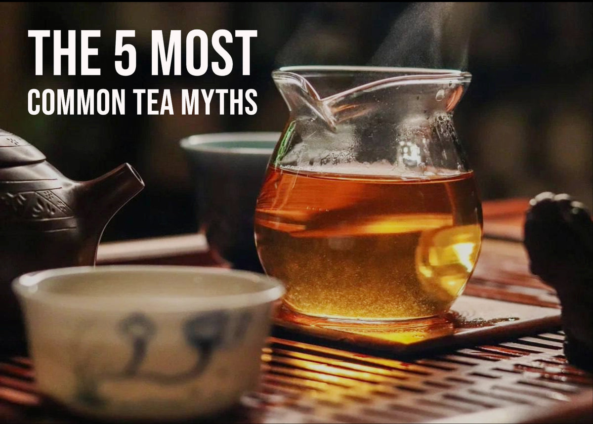 The 5 Most Common Myths About Tea, Revealed – Tea Culture Club Moychay.nl
